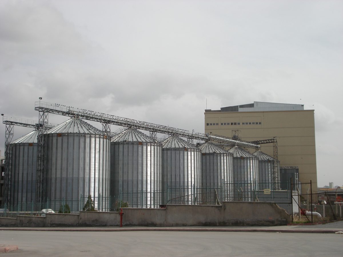 Nuh’un Ankara Makarnası – ABP TDS